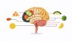 How Food Choices Shape Your Child's Brain: The Powerful Link Between ...
